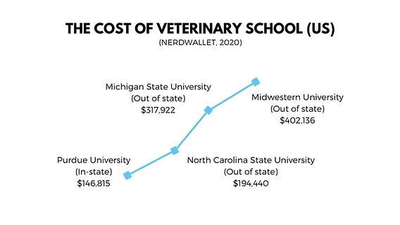 veterinary school how long