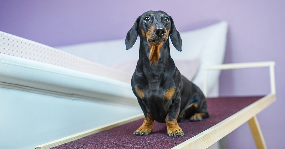 Ramp Training: What Are The Benefits?