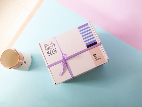 Kit Programación | La Mapache Azul