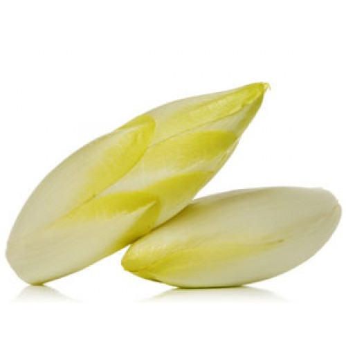 CHICON PLEINE TERRE BIO | Jardins de Catherine