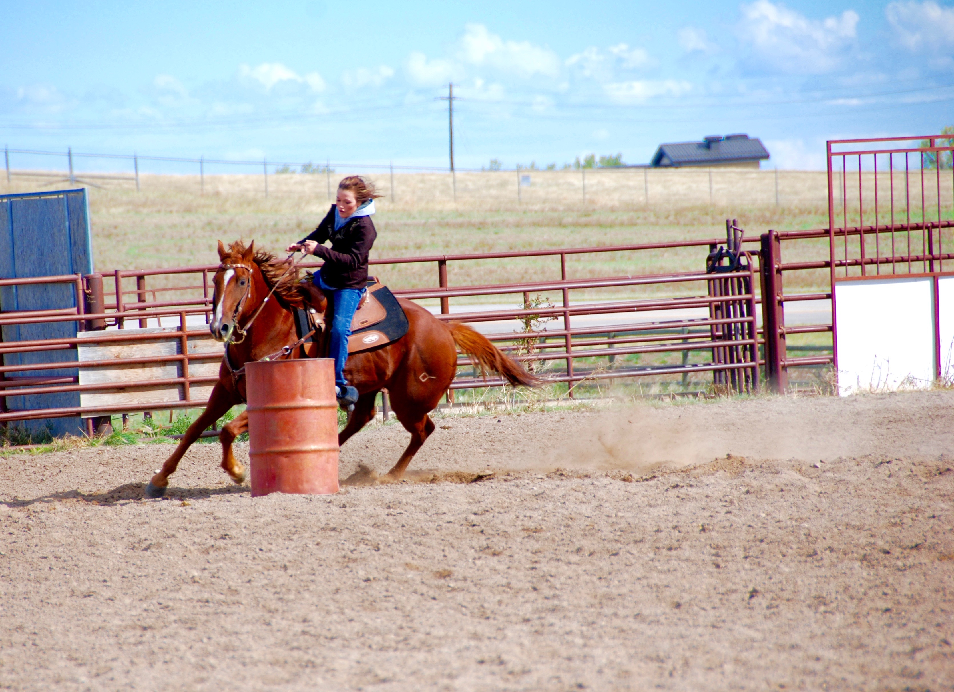 The King's Arena | Facilities