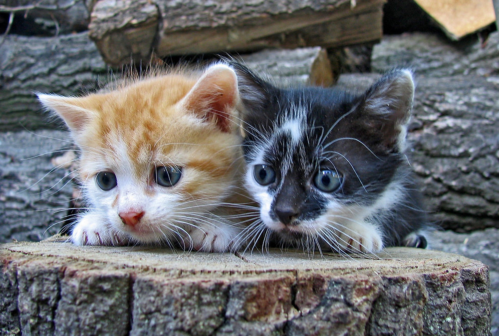 The Phrasal Verb 'Look At' Explained