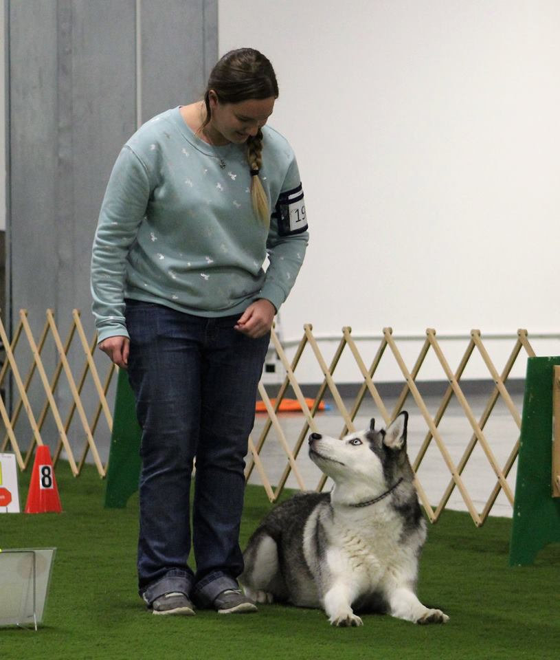 Started in 2005, AKC Rally is a fun family sport and participation ...