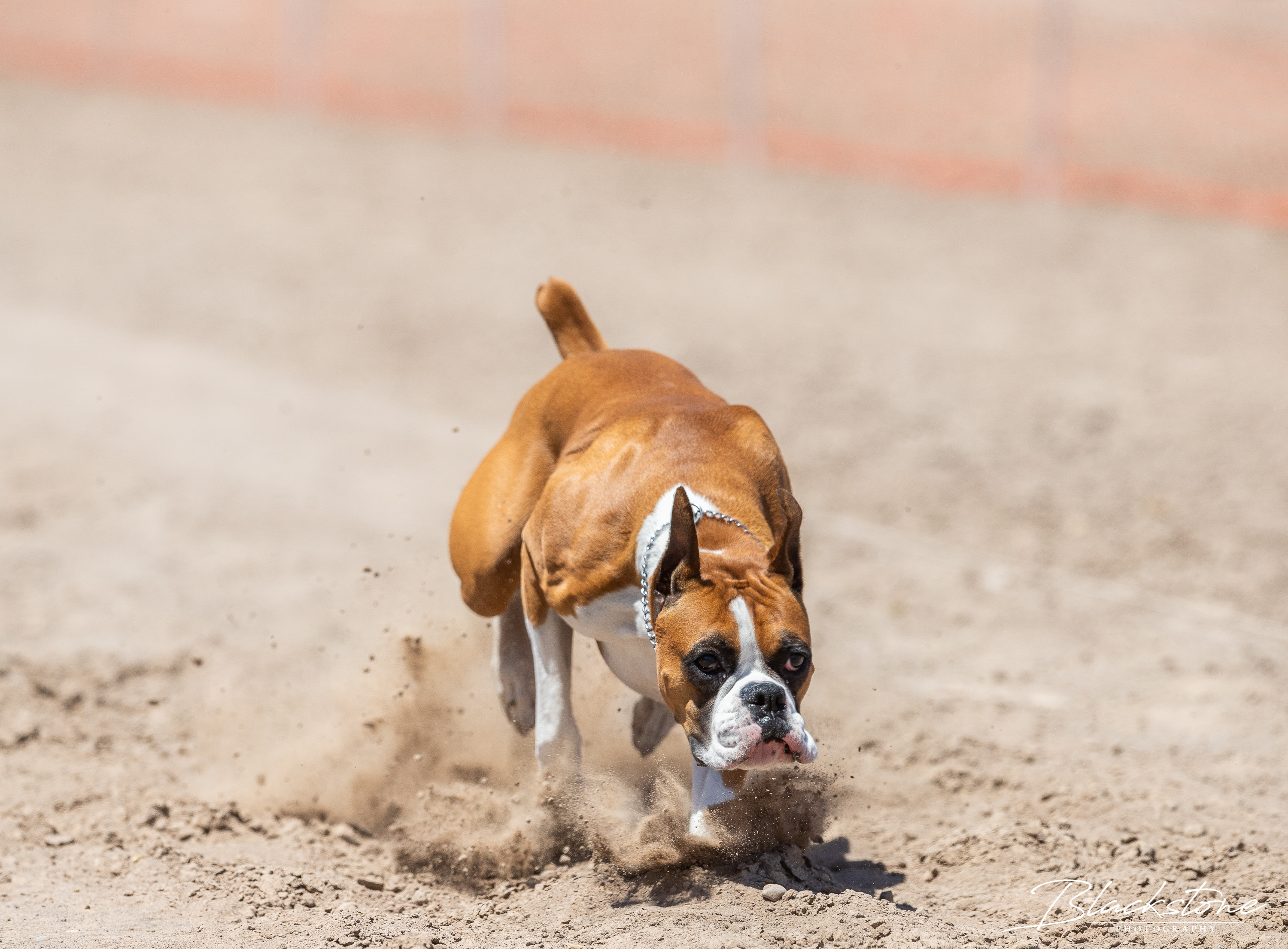 Fast CAT® – which stands for Coursing Ability Test – is a timed 100 ...
