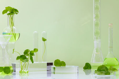 Introducing: THE TRIPLE CICA-COMPLEX