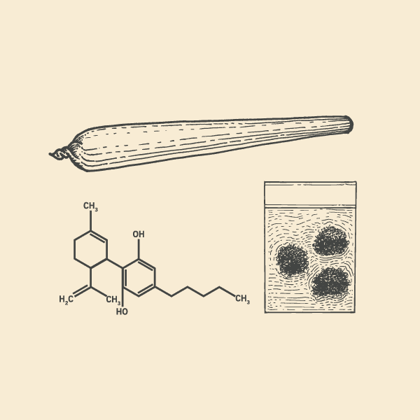 About Hemp | Total Hemp Co.