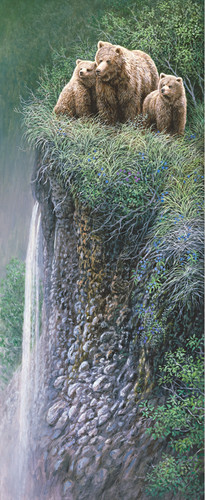 Higher Ground (paper) | Shane Lamb