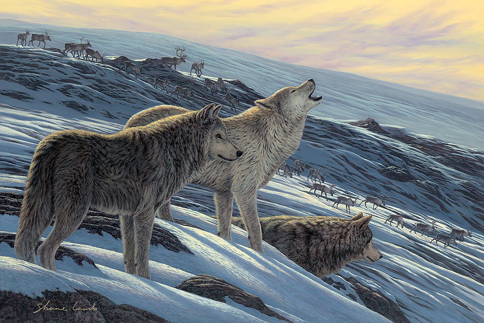 Art Paper Prints | Shane Lamb Gallery | Alaska