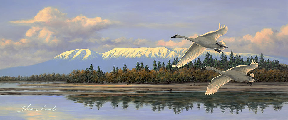 Art Metal Prints | Shane Lamb Gallery | Alaska
