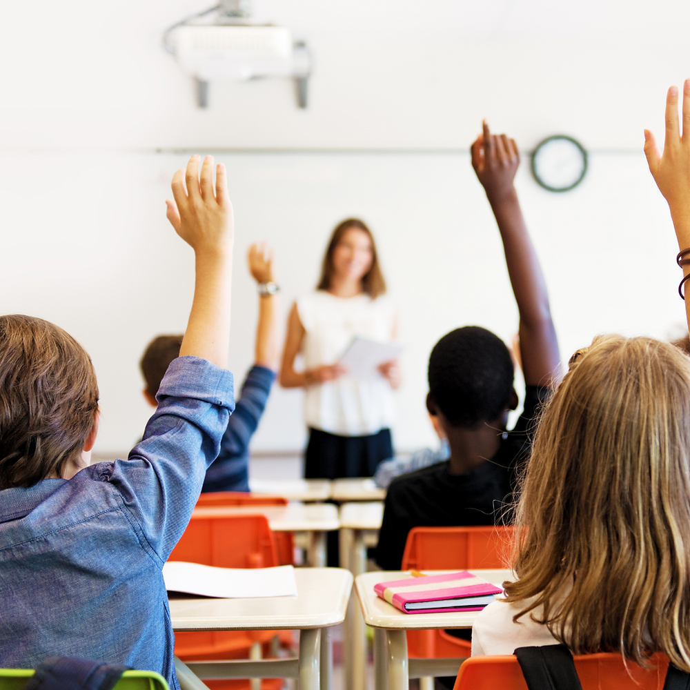 Protecting Children from Moldy Schools: The Need for Action