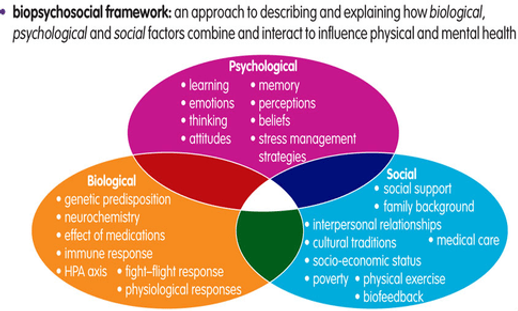 Texas Psychologist | Wellspring Psychological Services | Jonathan ...