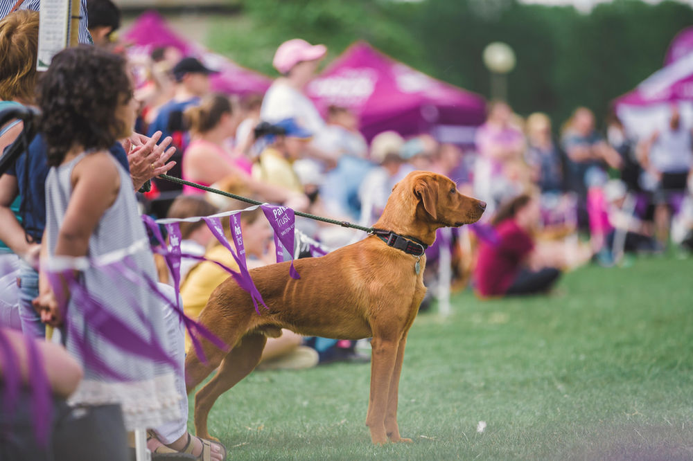 Let’s Big Doggie Do It Bigger Than Ever!