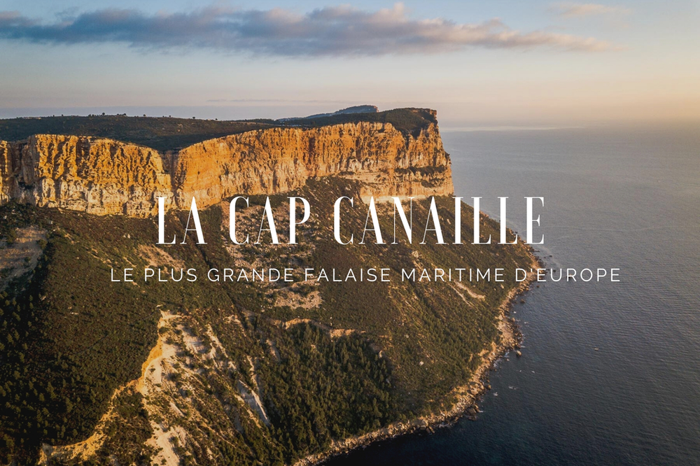 Cap Canaille : la plus haute falaise maritime d'Europe à Cassis