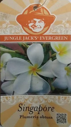 JJ Hang Tags: an Easy Guide to the Tag Colors
