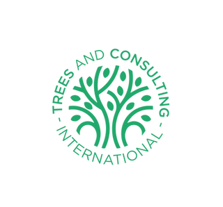 Trees & Consulting | international tree sales and consulting