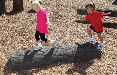 Half Log Balance Beam | Spaces For Play