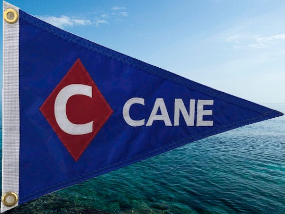 General Discussion | CANE website