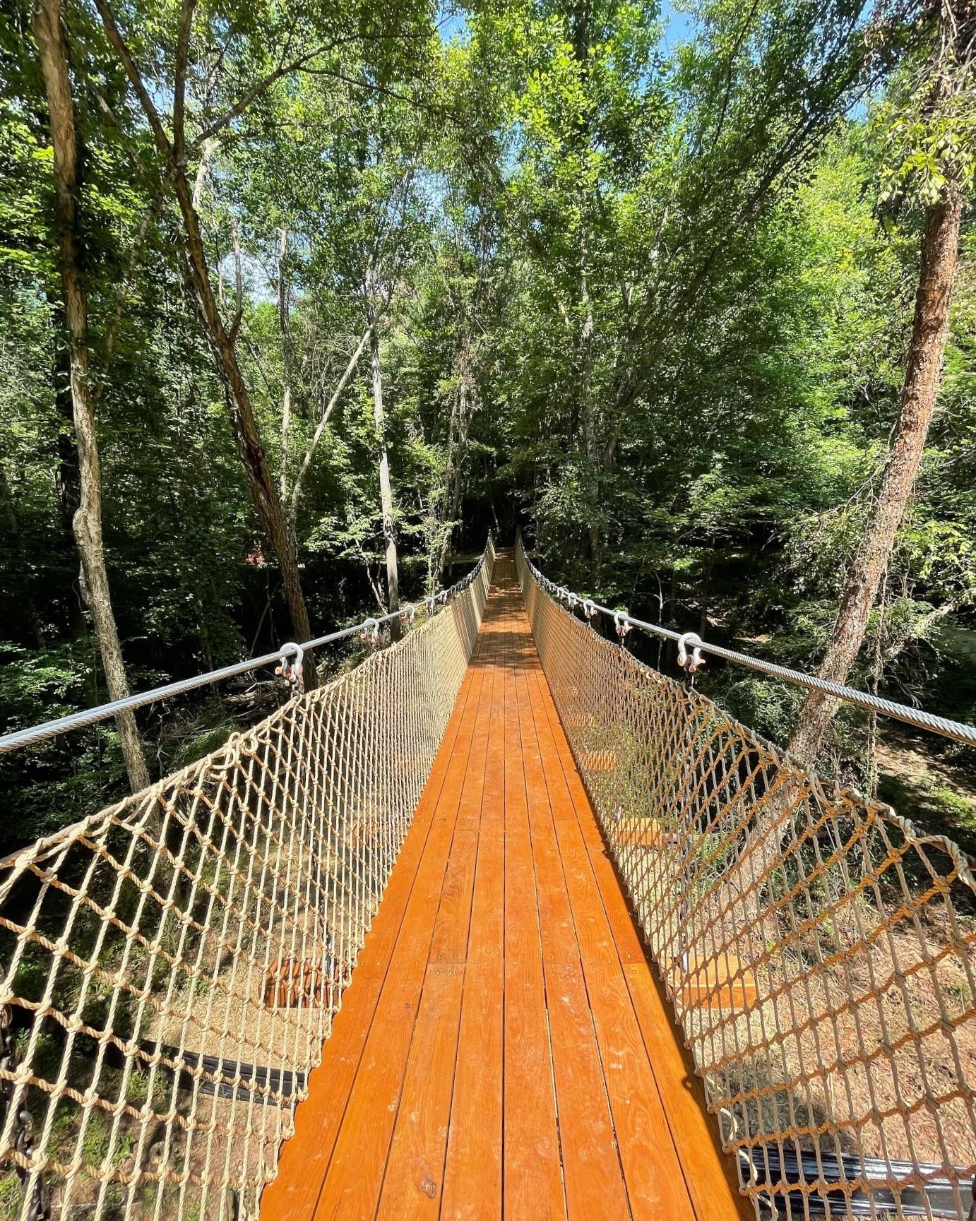 McGalliard Creek Catenary Bridge