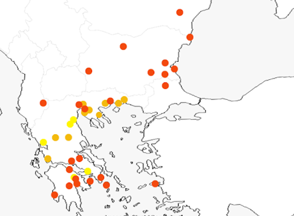 Did you know | Lion Landscapes