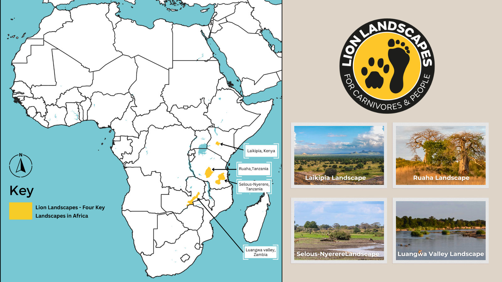 Where we work | Lion Landscapes
