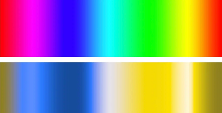 Eyes & Vision | Lion Landscapes