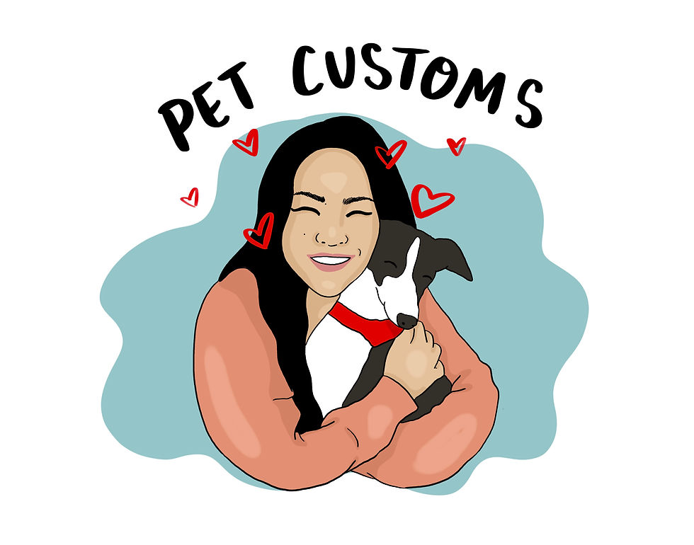 Shop | Stephanie Chinn ART