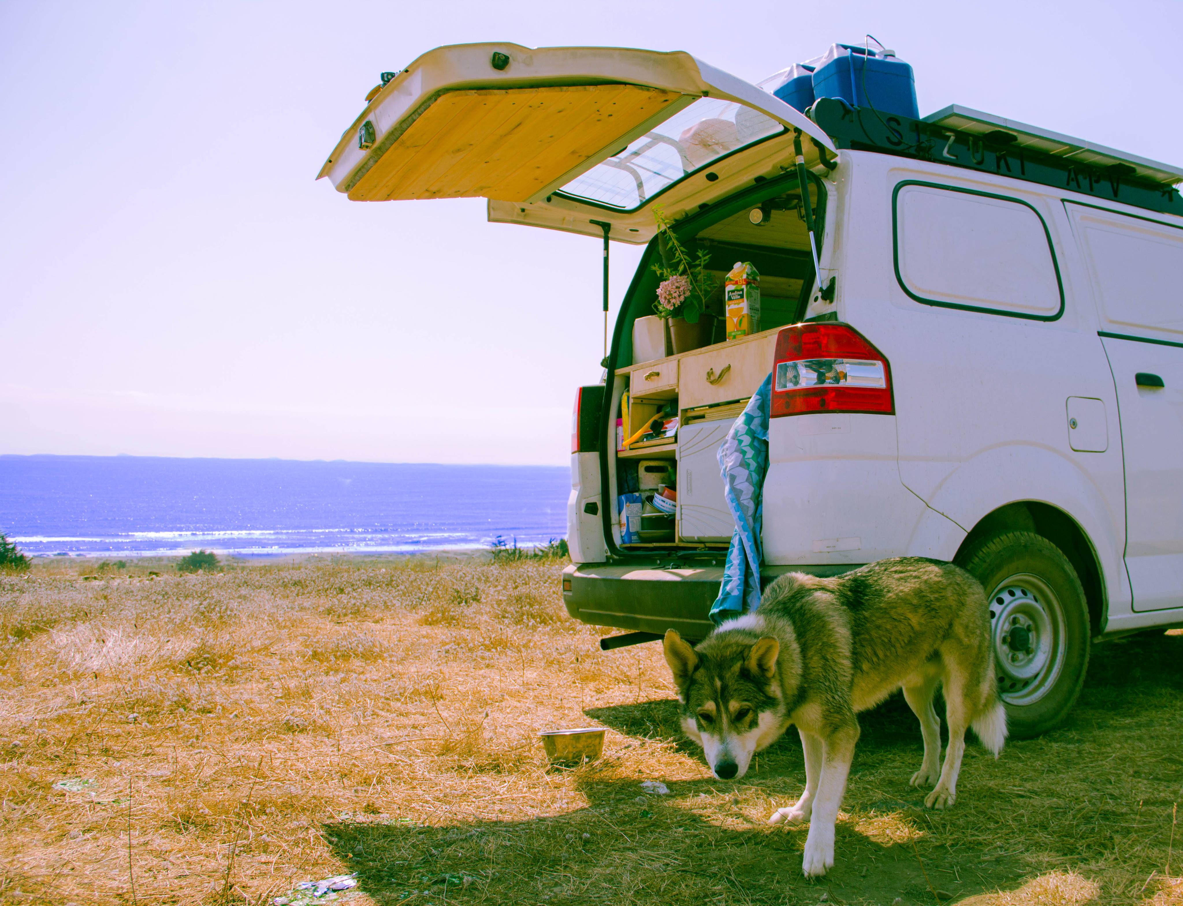 Gallery | Travel Agency in Chile | Suzi Santiago