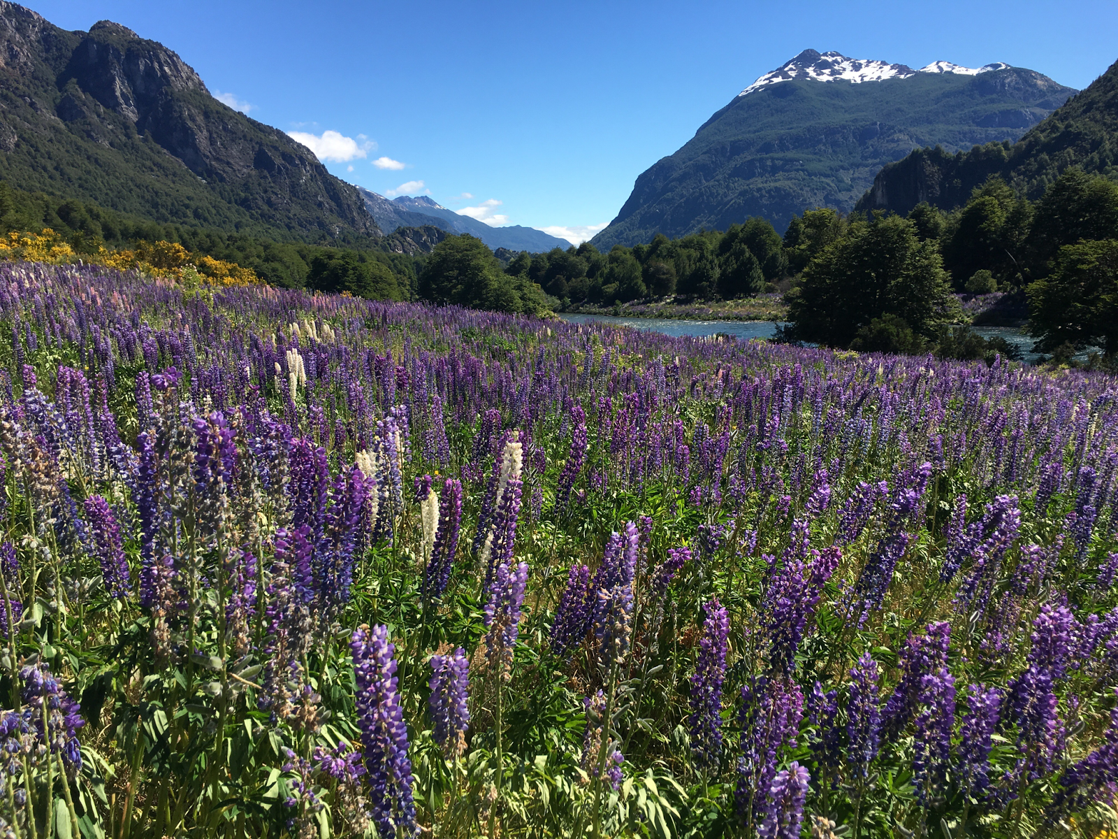 Gallery | Travel Agency in Chile | Suzi Santiago