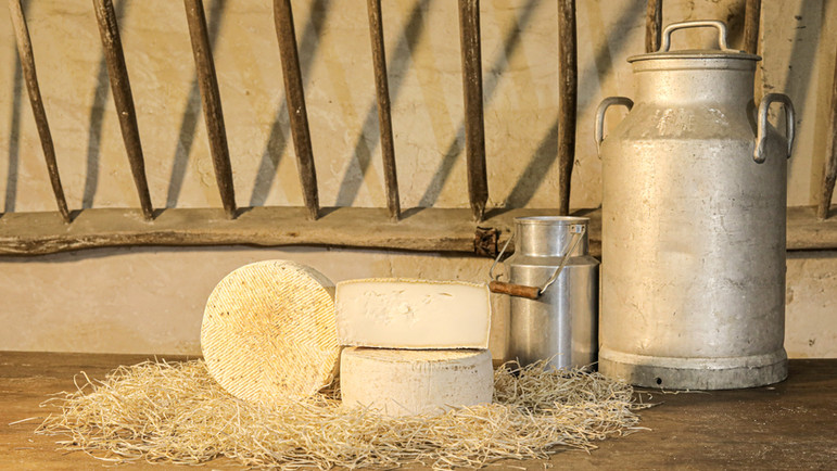 Lait de chèvre | Les Fromages De Thom