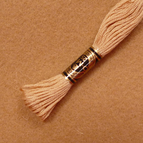 738 Skin :: DMC Mouline Embroidery Thread :: 90% felt | paper-and-string