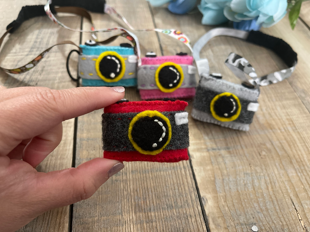 Felt Camera
