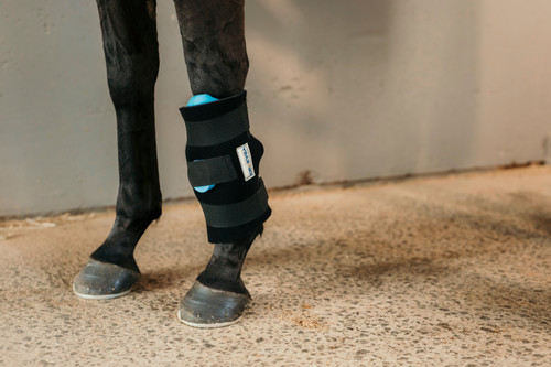 Ice N Easy Equine Single | Ice N Easy Equine