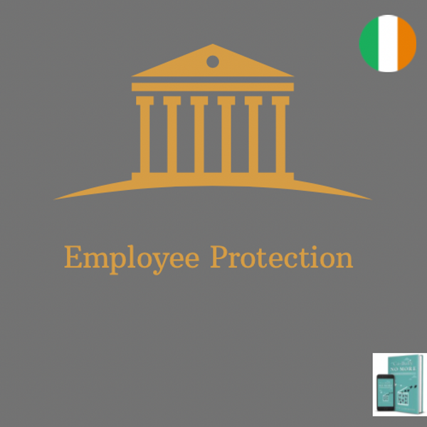 Ireland's laws to protect employees in the workplace 2023