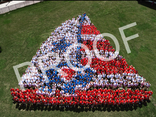 Human BuffaLove #6 8x10 | buffaloveapparel