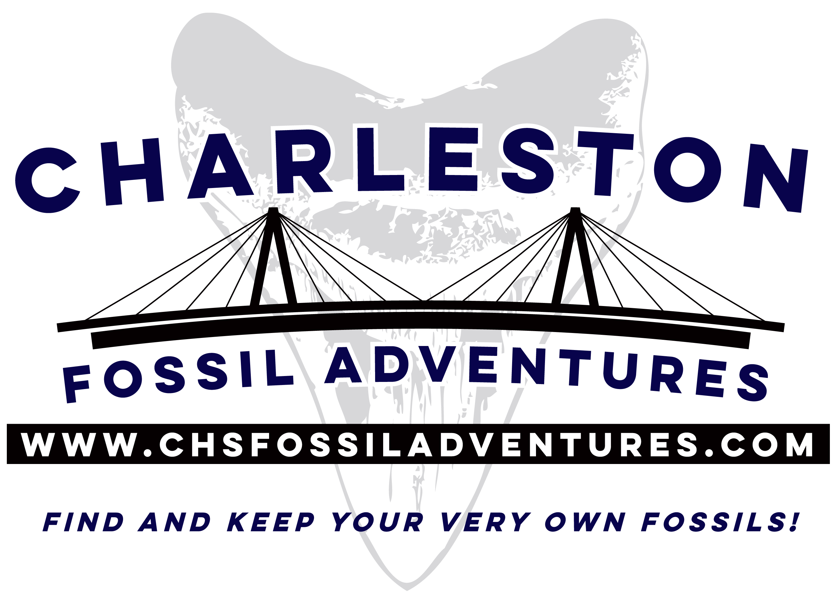 chsfossiladventures | Shark Tooth Club