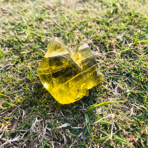 Egyptian Gold Andara | Heart Forest