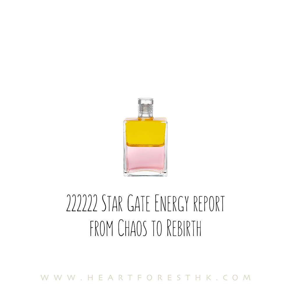 222能量閘門 - 222222的啟示