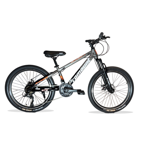 CREST 24" SLVR/ORNG MULTI SPEED | Pmt Bikes