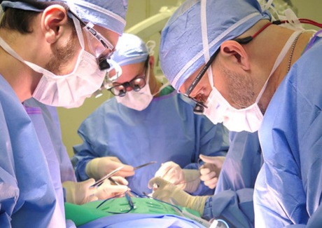 Head Neck Oncologic & Reconstructive Surgery