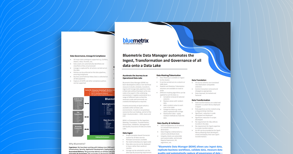 Bluemetrix Data Manager Overview