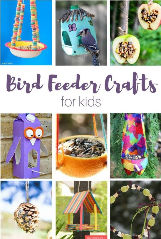 Bird Feeder Crafts For Kids bird-feeder-crafts-for-kids