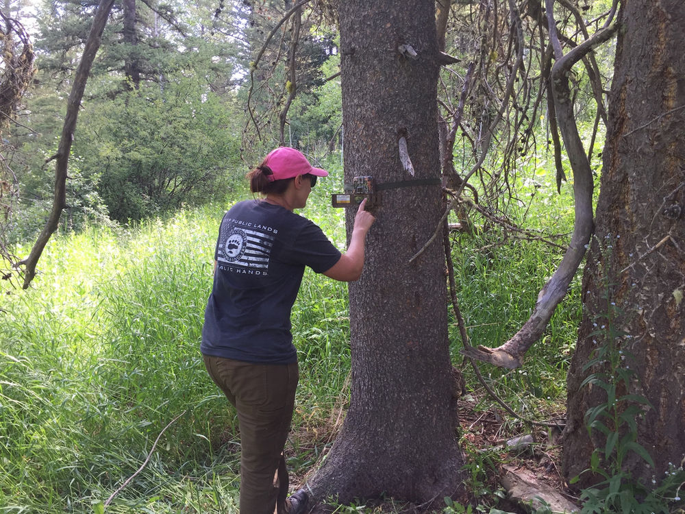 5 Tips for Public Land Scouting