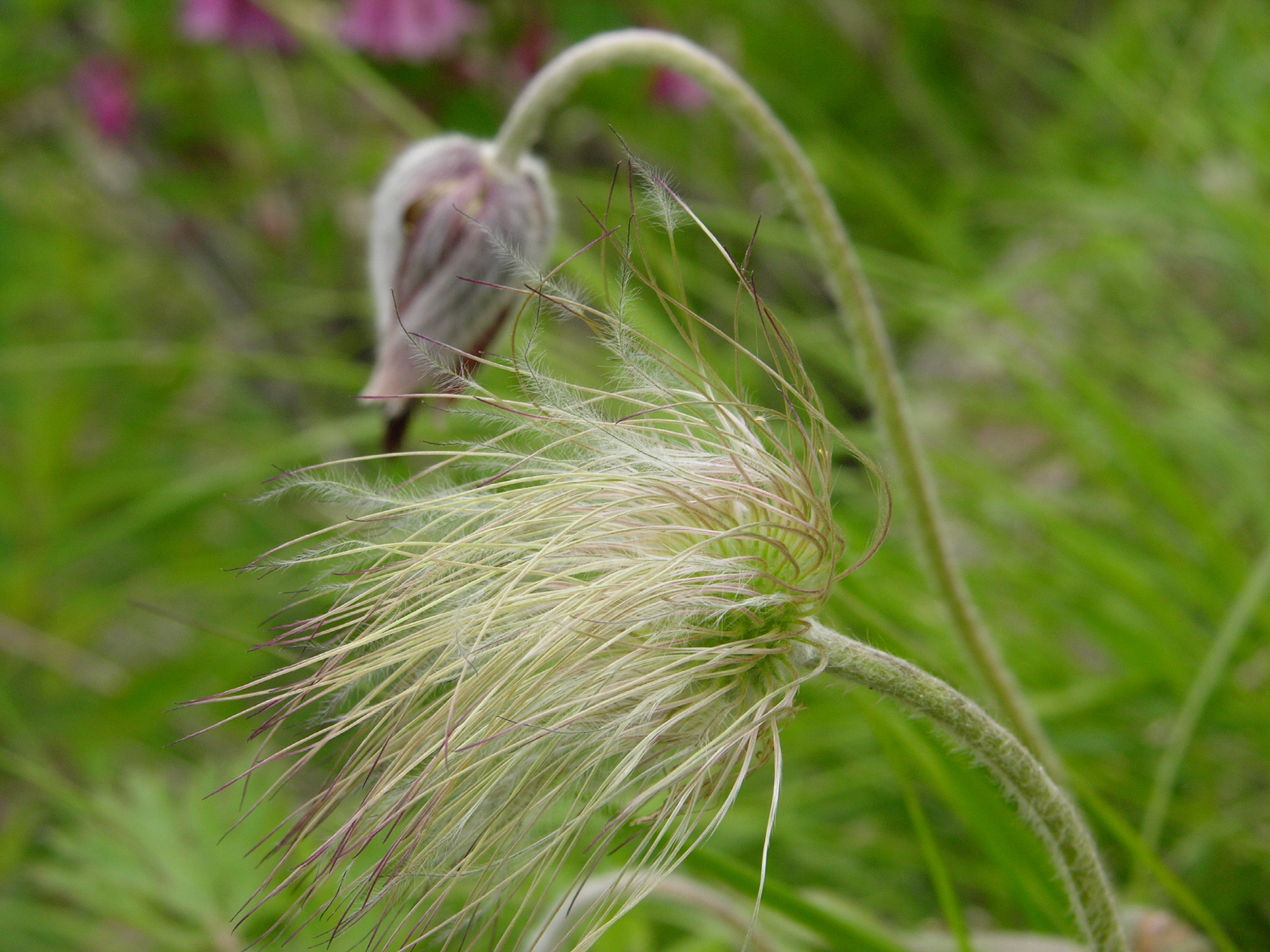 Sobaeksan National Park | South Korea 대한민국 | Outdoors Korea
