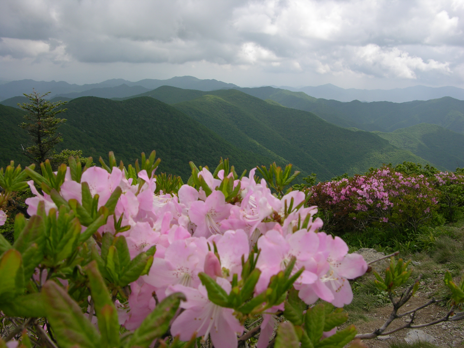 Taebaeksan National Park | South Korea 대한민국 | Outdoors Korea