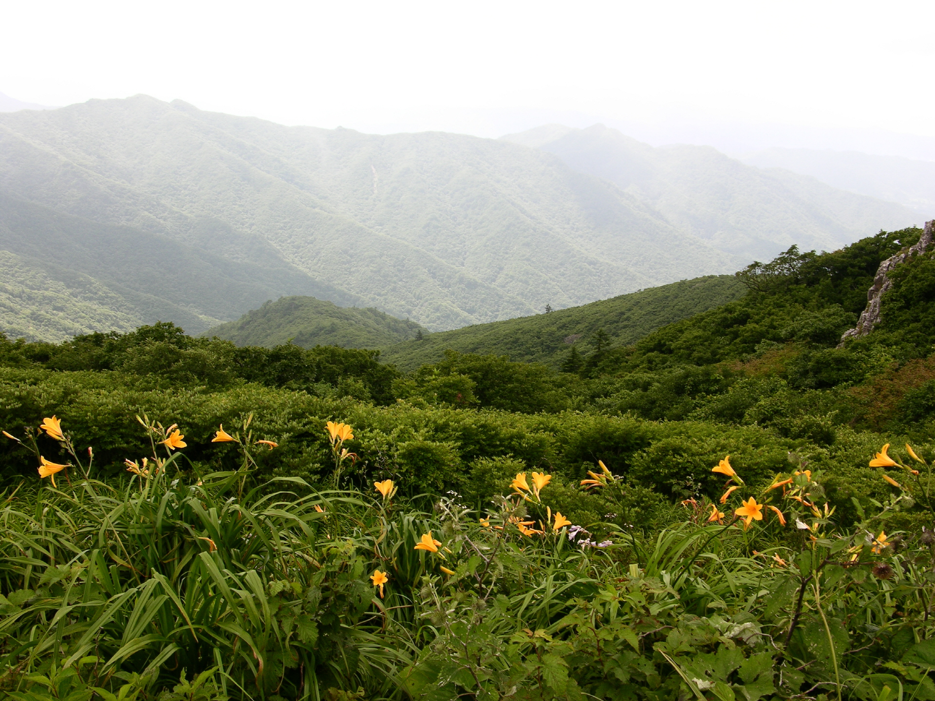Deogyusan National Park | South Korea 대한민국 | Outdoors Korea