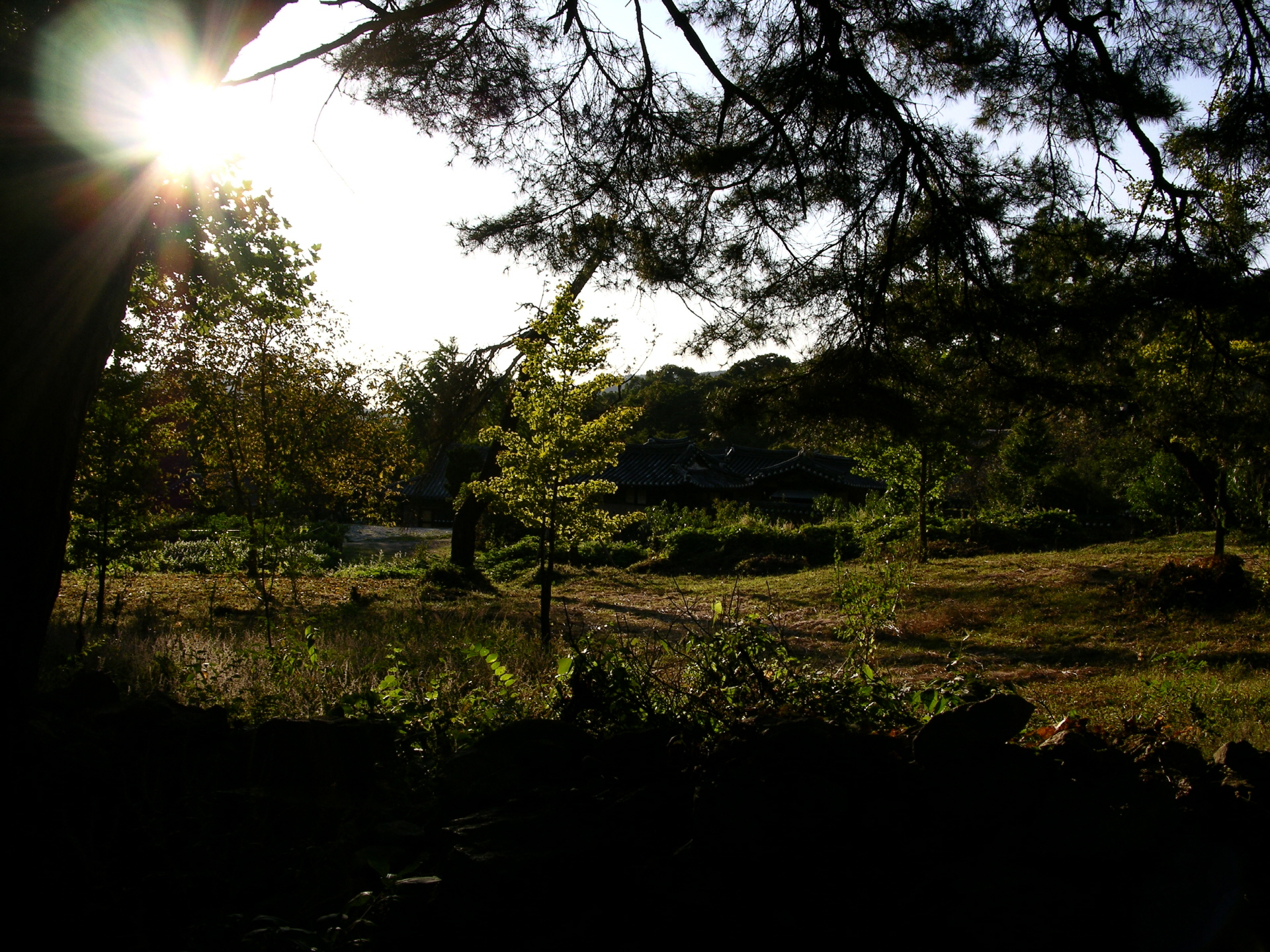 Gyeryongsan National Park | South Korea 대한민국 | Outdoors Korea