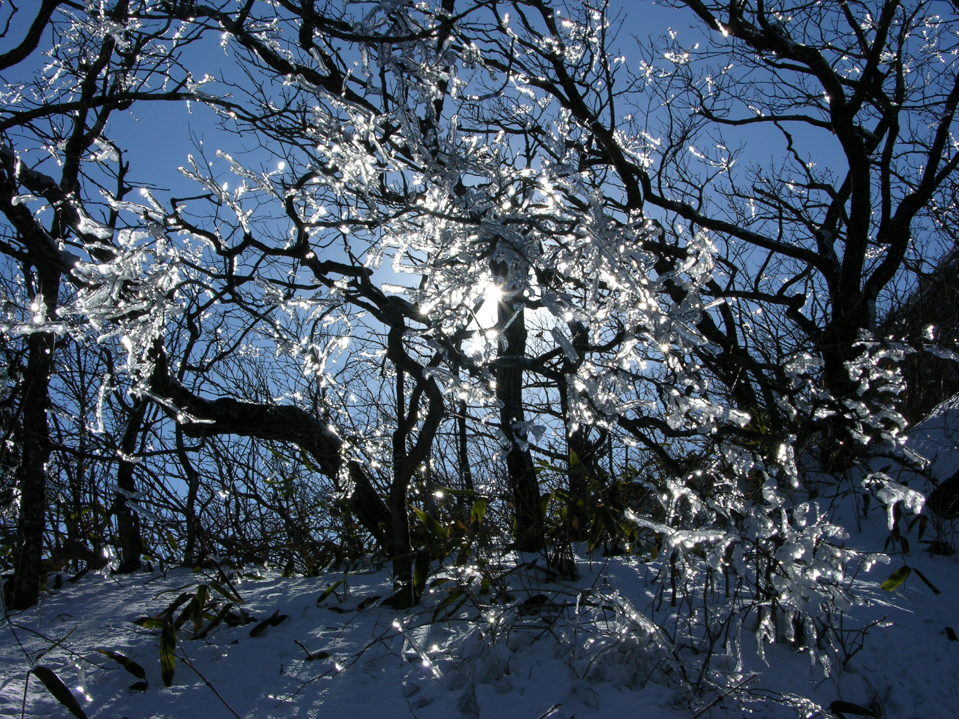 Deogyusan National Park | South Korea 대한민국 | Outdoors Korea