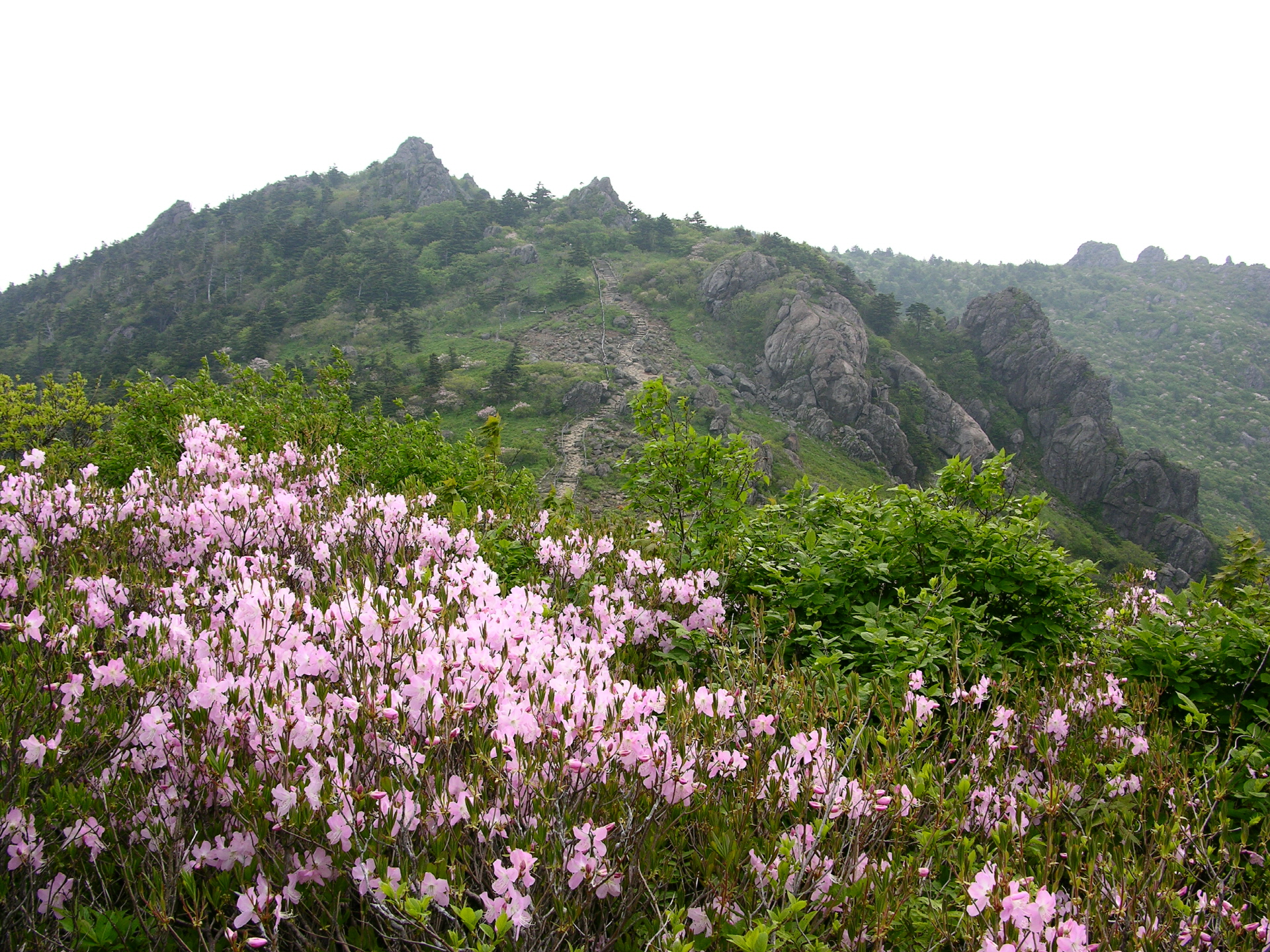 Jirisan National Park | South Korea 대한민국 | Outdoors Korea