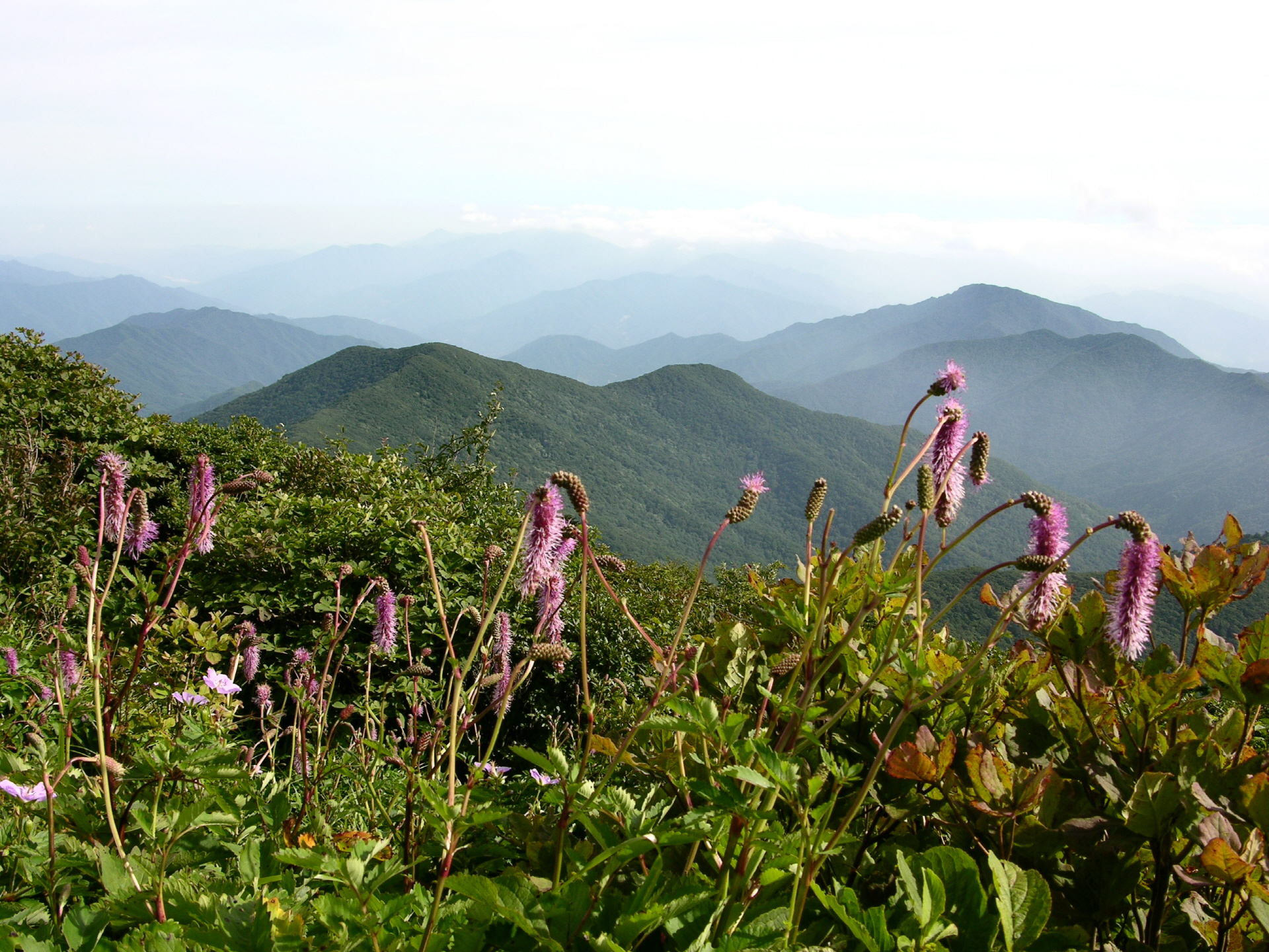 Jirisan National Park | South Korea 대한민국 | Outdoors Korea