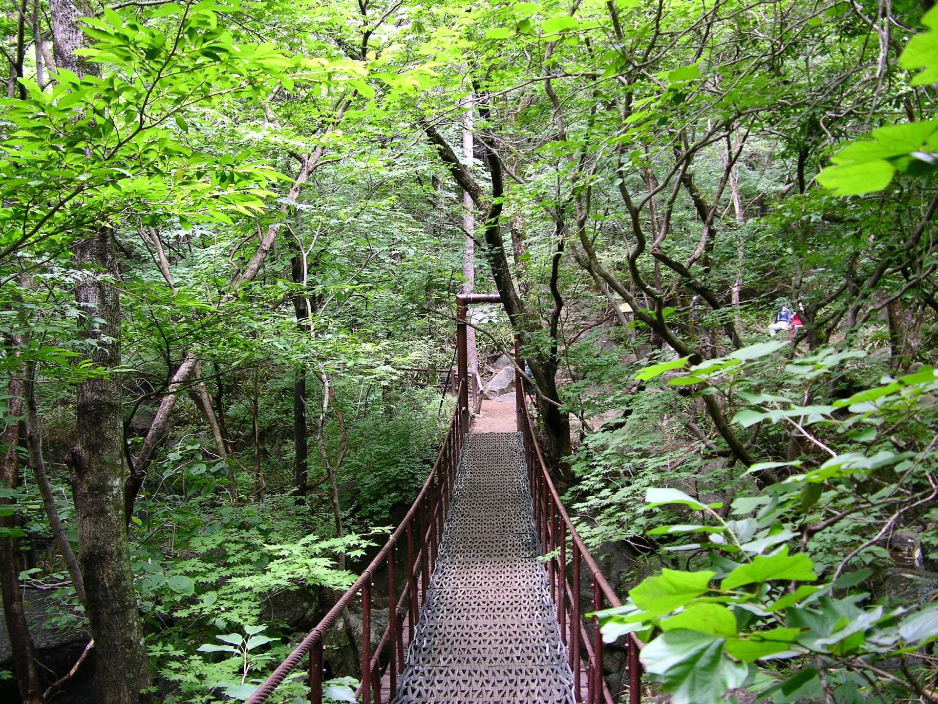 Jirisan National Park | South Korea 대한민국 | Outdoors Korea
